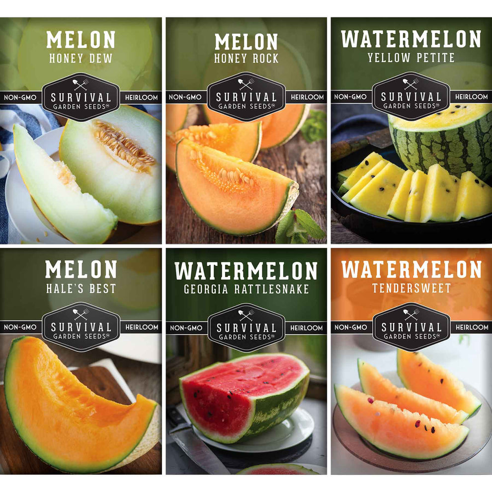 Melon Seed Collection – 6 Heirloom Varieties of Watermelon, Cantaloupe ...