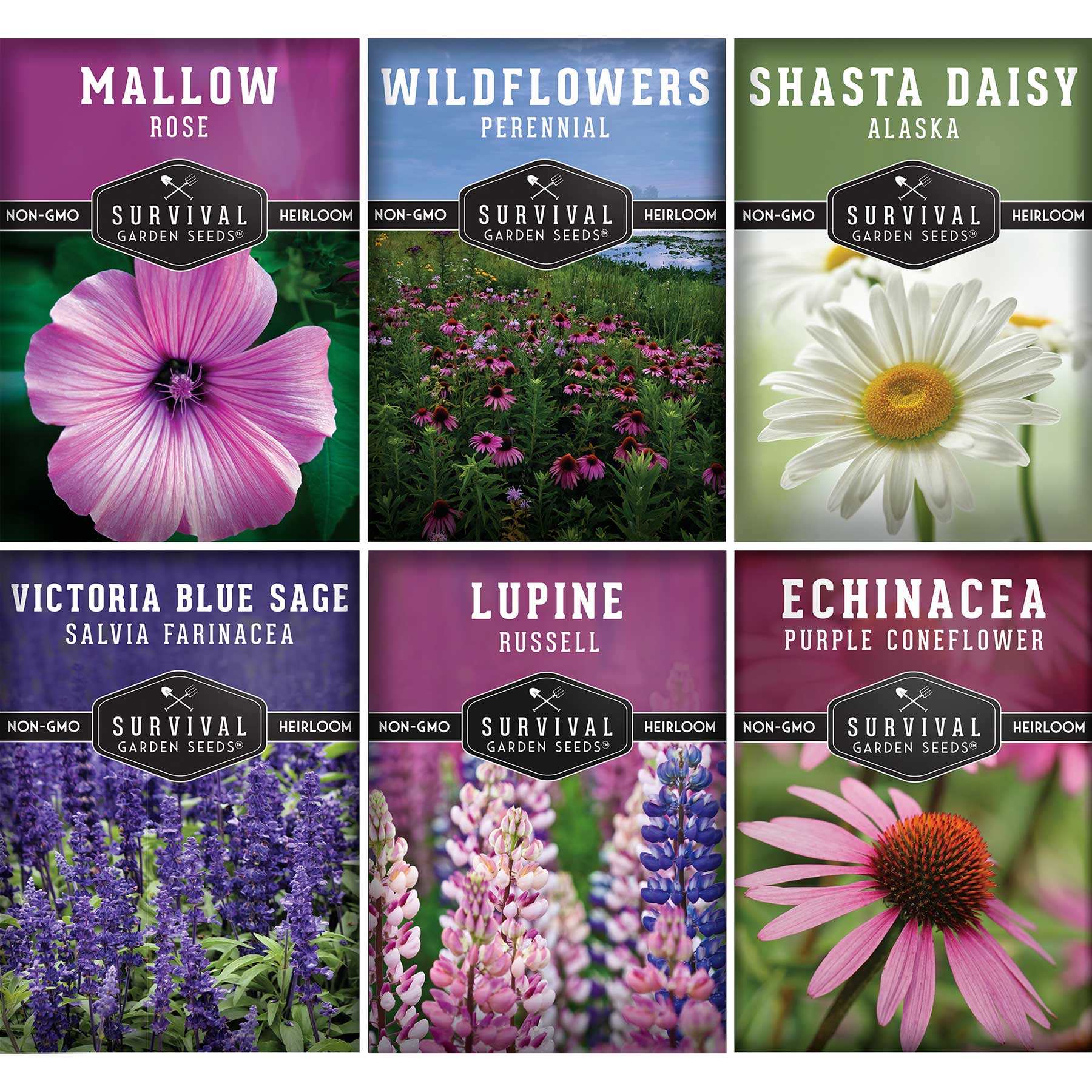Perennial Flower Seed Collection – Non-GMO Heirloom Blooms for Pollina ...